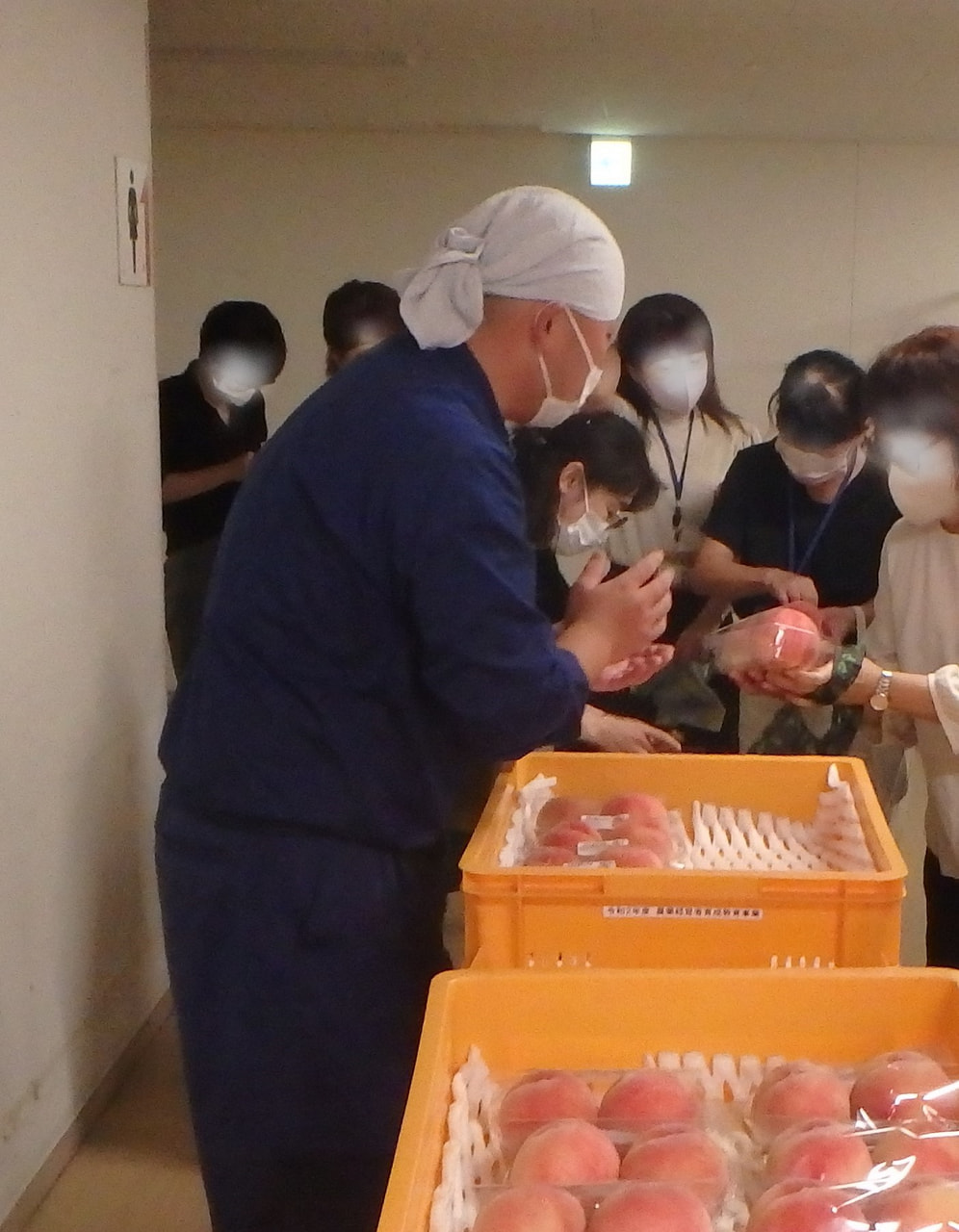 長野県庁生協で桃を販売しました。|お知らせ|長野県農業大学校